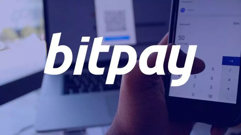 Bitbay (Bay) - порака со бела книга со динамичен колк