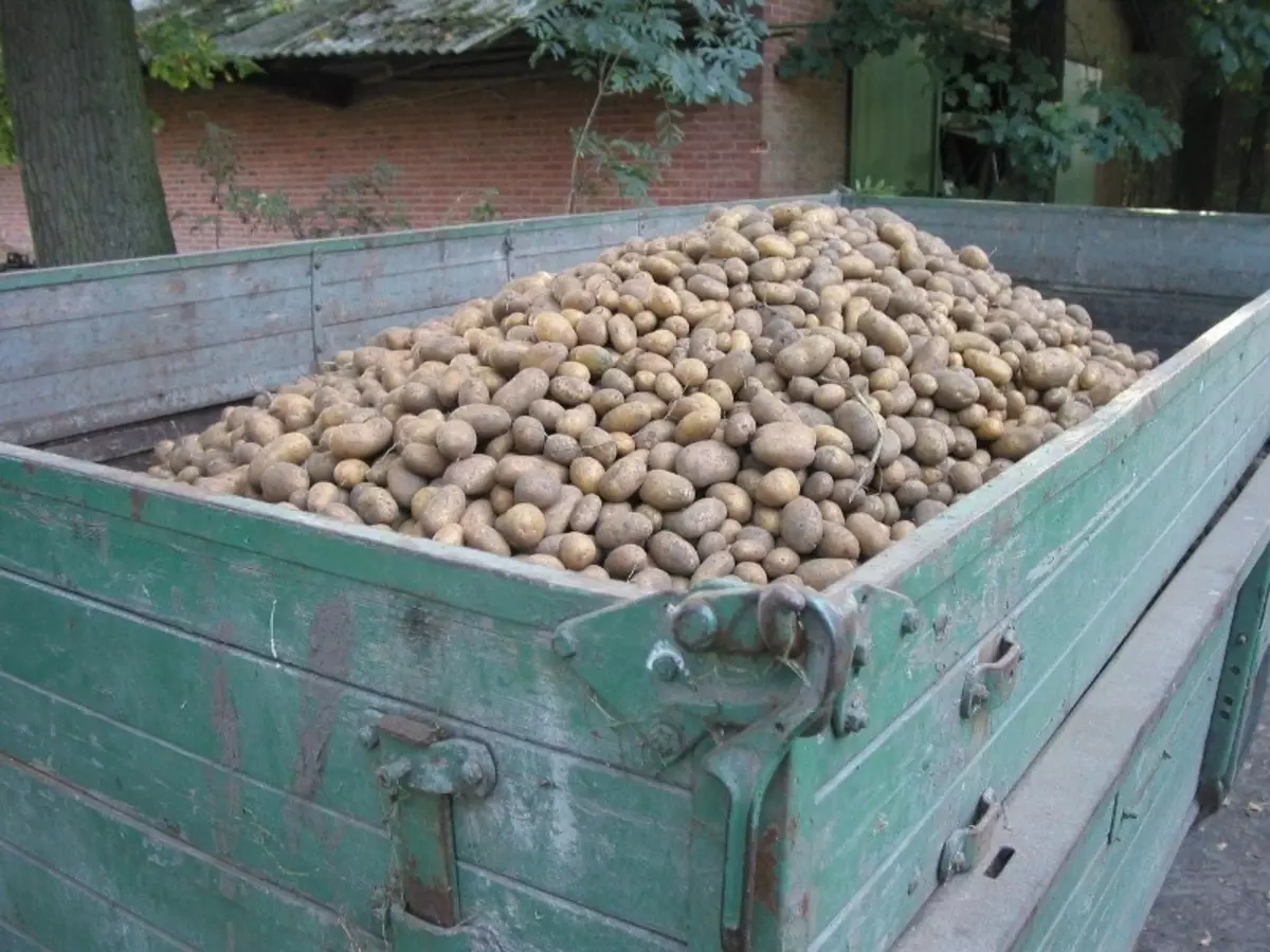 Koszt ziemniaków wkrótce może znacznie wzrastać 12406_3