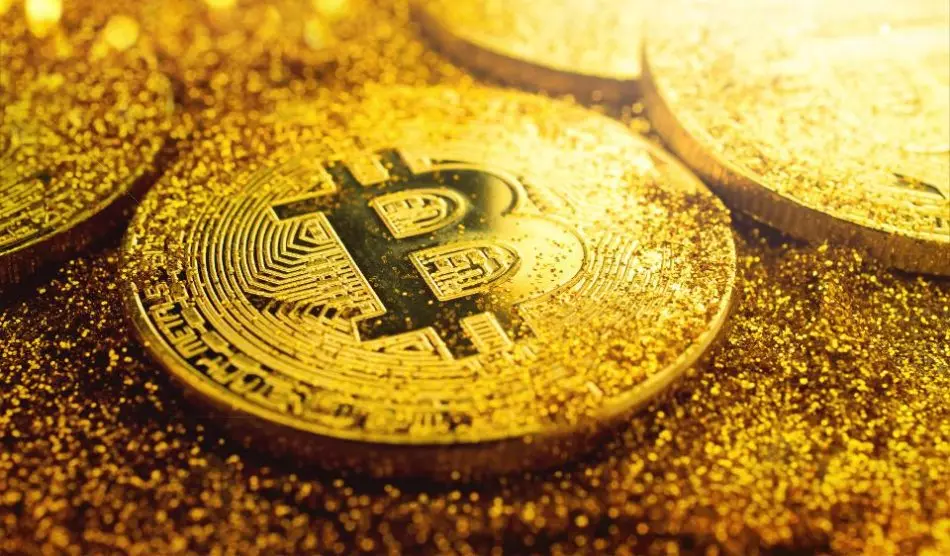Kas yra bitcoin gold ir segwit2x ir kaip gauti naujas monetas 2