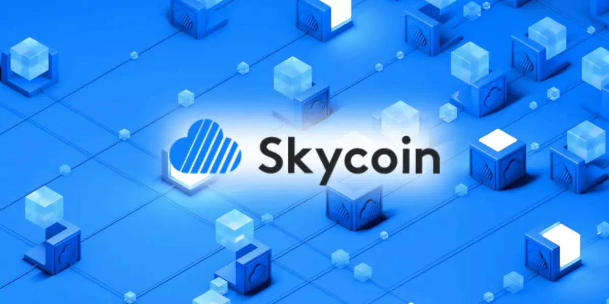 SkyCoin دھوکہ دہی کا الزام