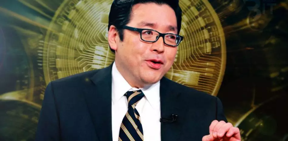 Tom Lee predice il bitcoin della raccolta