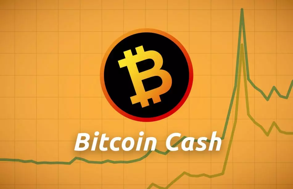 Bitcoin Cash Brian Kelly