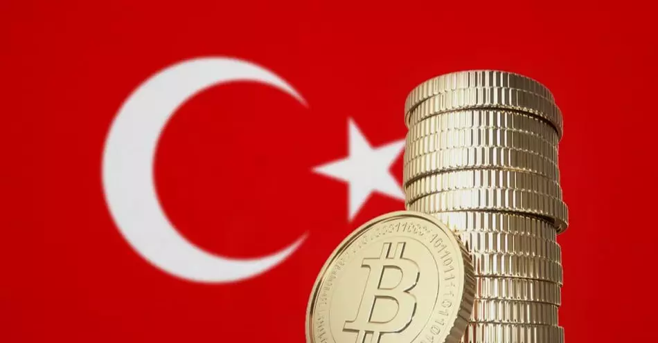 Volymerna av handel med turkisk börs kryptokurrency ökade mot bakgrunden av krisen Lyra