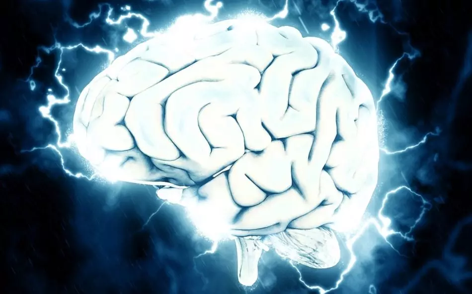Suurbritannias tõsteti aju, mis suudab luua touch näriliste lihastega