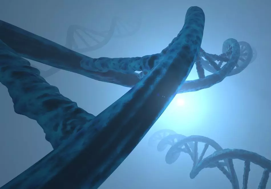 Více než 400 mutací nalezených v genomu, díky které schizofrenie se objeví