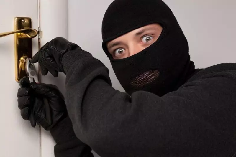 Як захистити свій будинок від злодіїв 6985_0