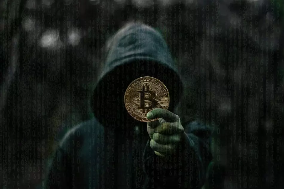 سرق Cryptomas 31 مليون يورو من المستثمرين